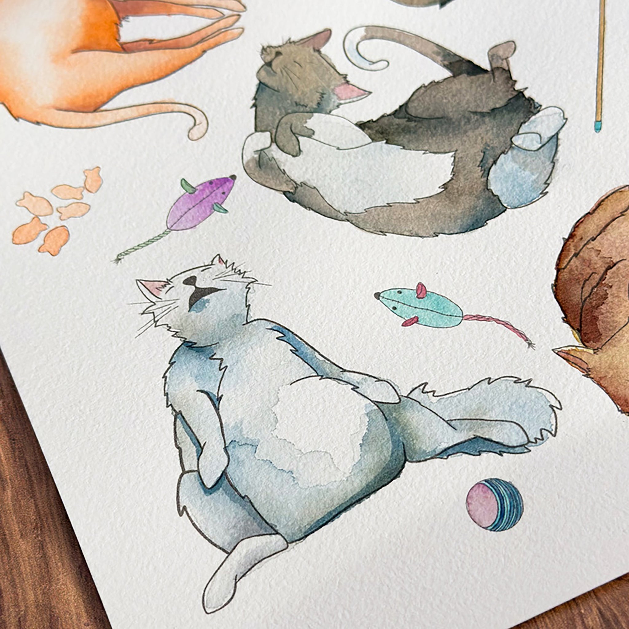 Beginner Kits – Splatter & Bloom