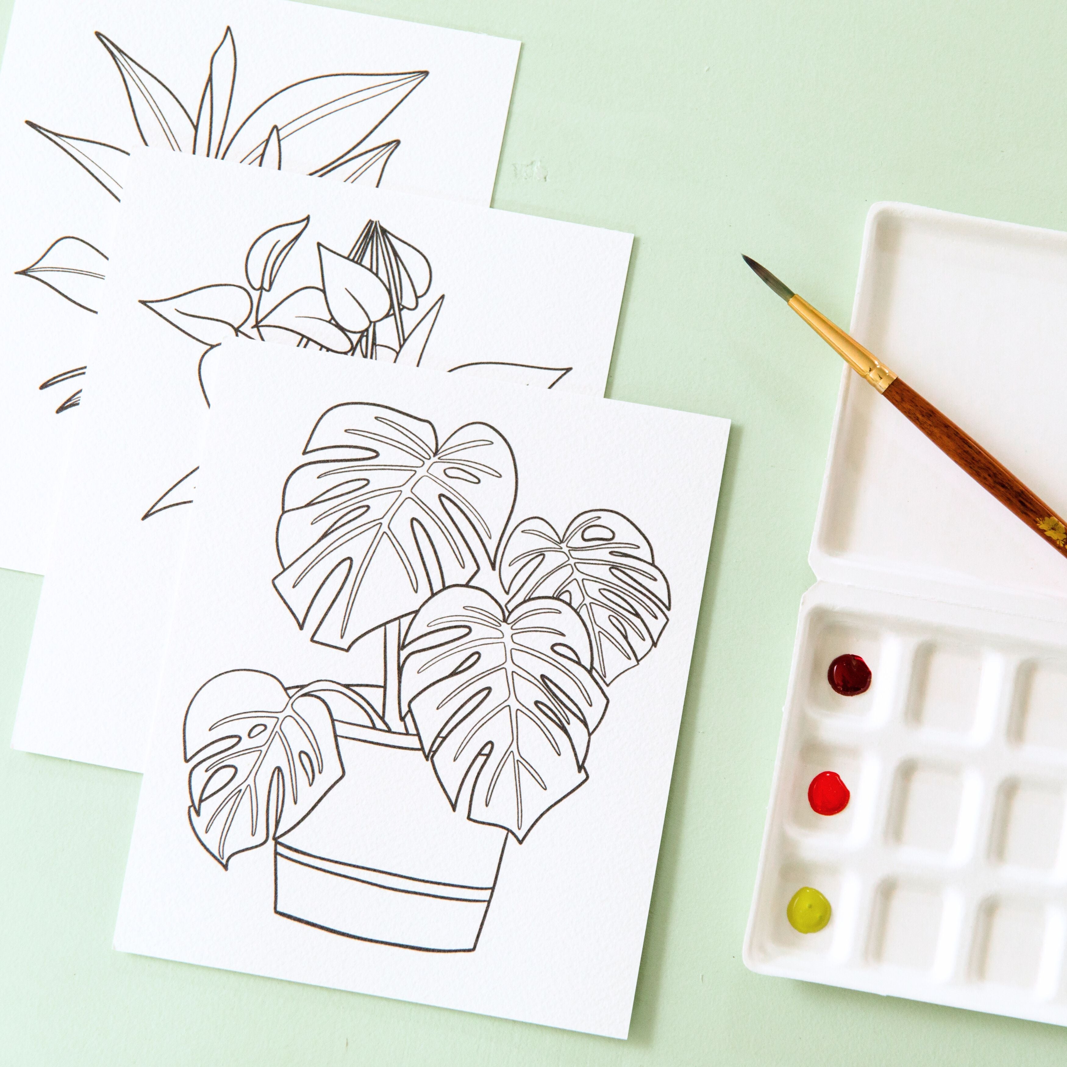 Mini Watercolor Kits – Splatter & Bloom